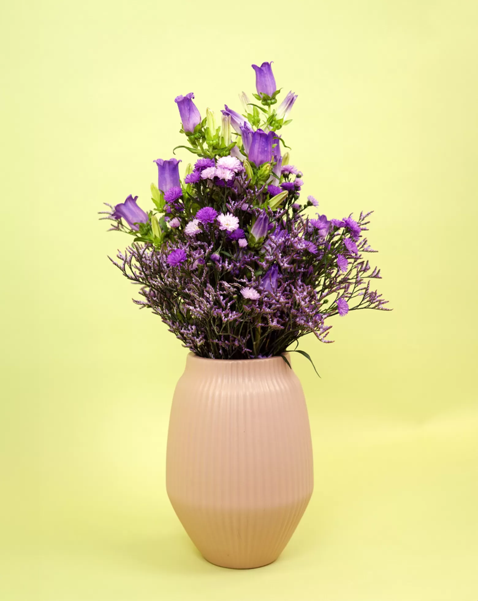 Aster Double Date Pink | Marginpar